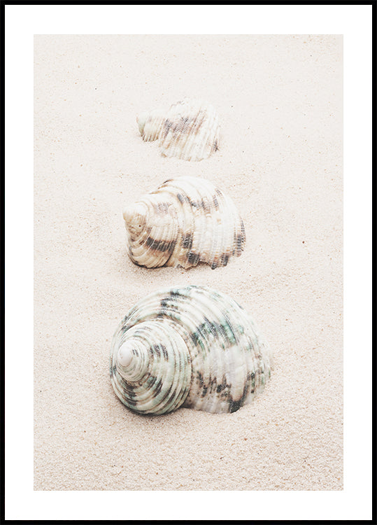 Shells Plakat – Posterbox.no