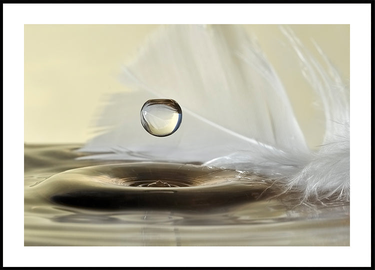 Feathers drop Plakat – Posterbox.no