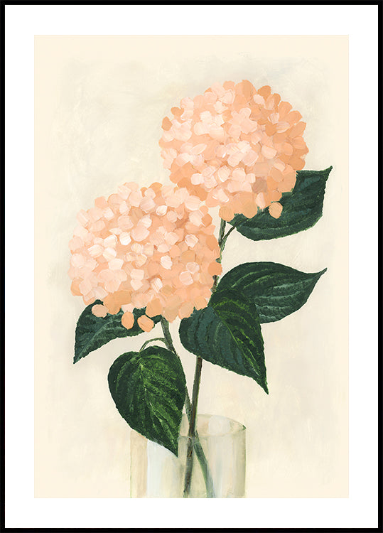 Coral hydrangeas in a vase Plakat – Posterbox.no